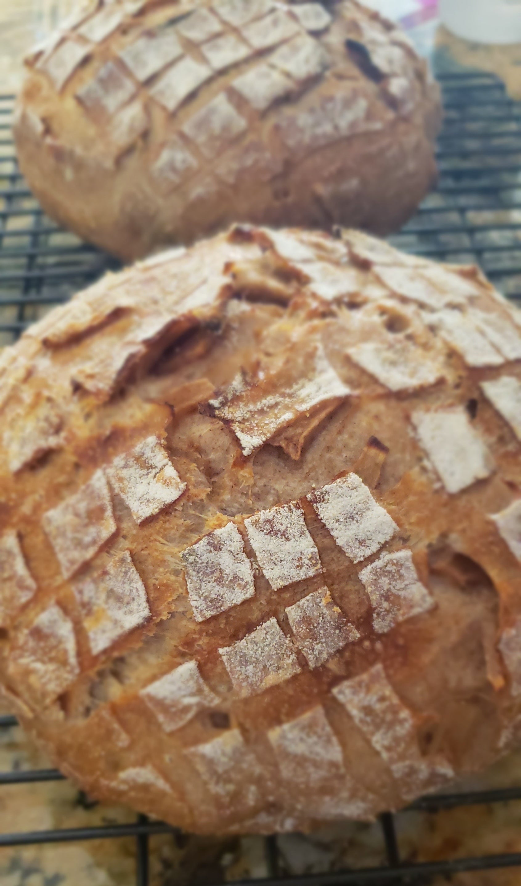 Apple Pie Sourdough Boule | Susan's Homestyle Bakery LLC
